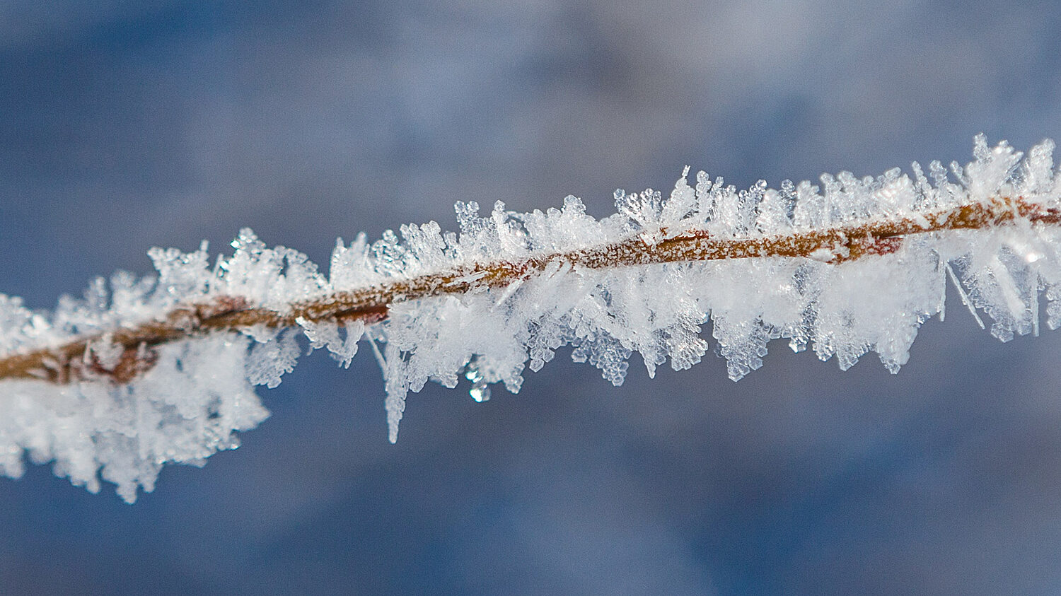 The Language of Snow: Discover Japan’s Snow… | Uchi: Japan Real Estate