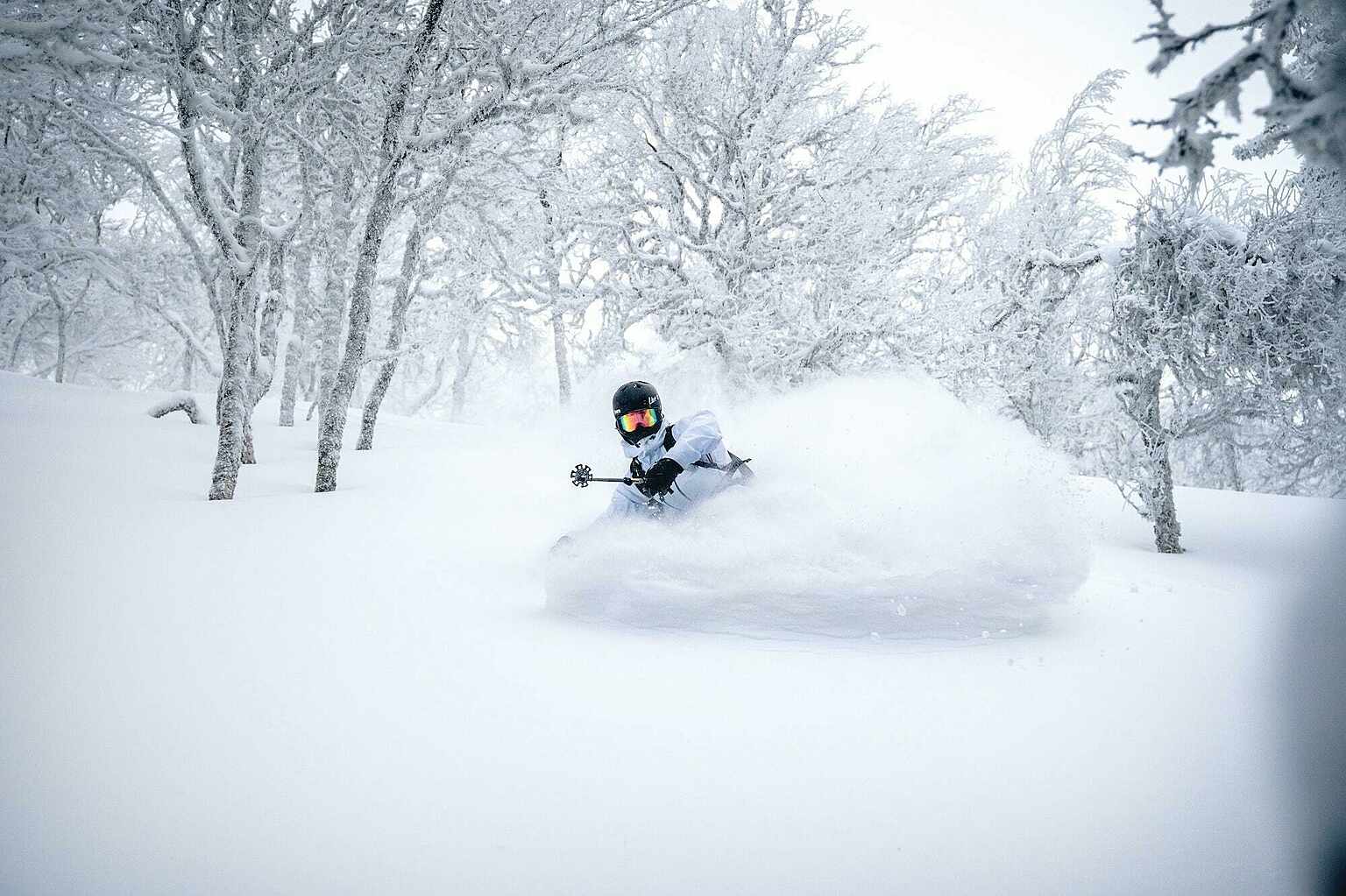 The Language of Snow: Discover Japan’s Snow… | Uchi: Japan Real Estate
