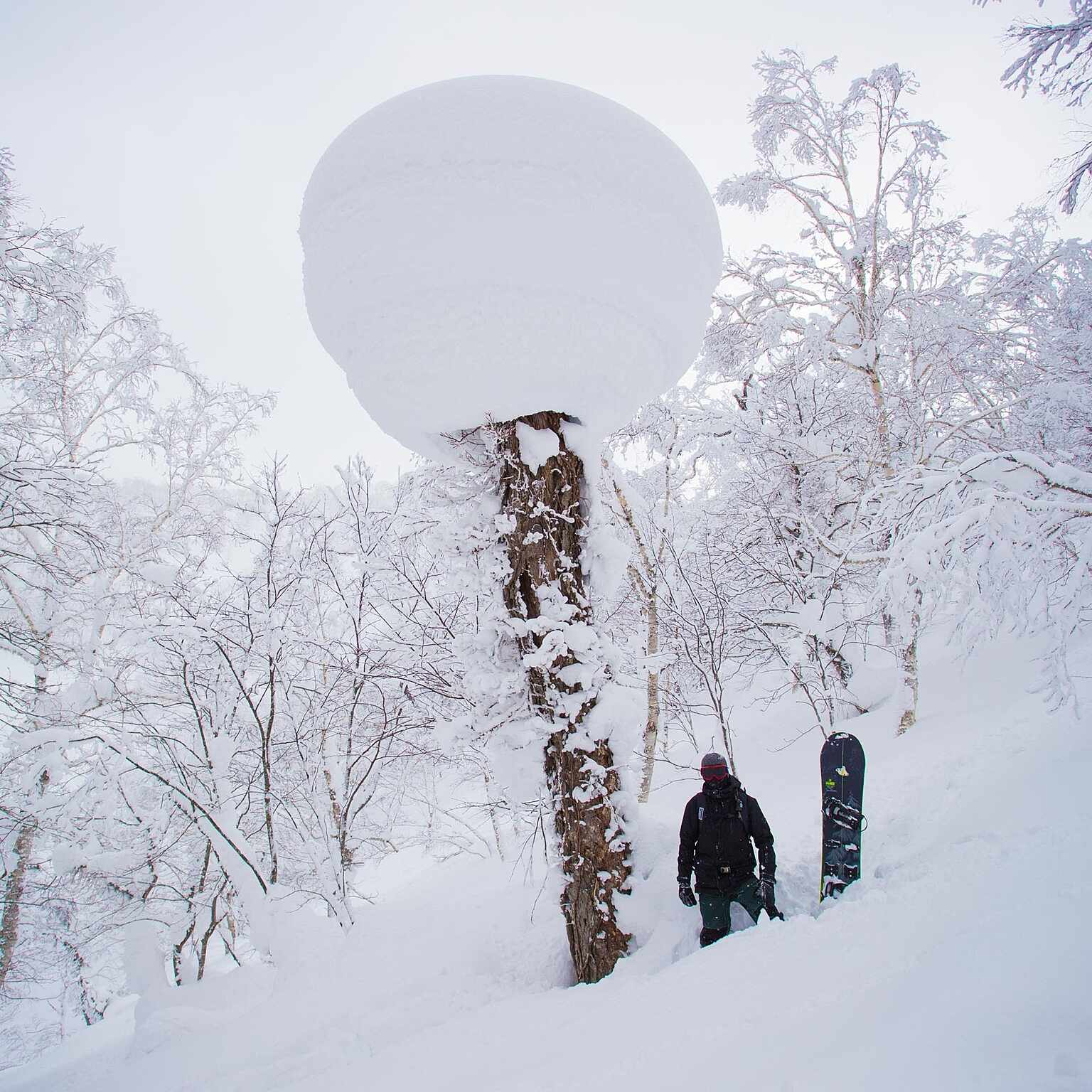 The Language of Snow: Discover Japan’s Snow… | Uchi: Japan Real Estate