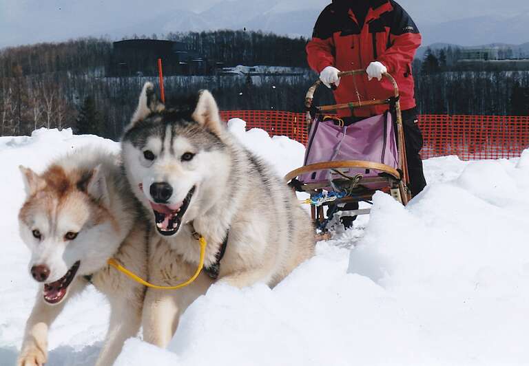 20 Of The Best Things To Do In Furano: Snow… | Uchi: Japan Real Estate