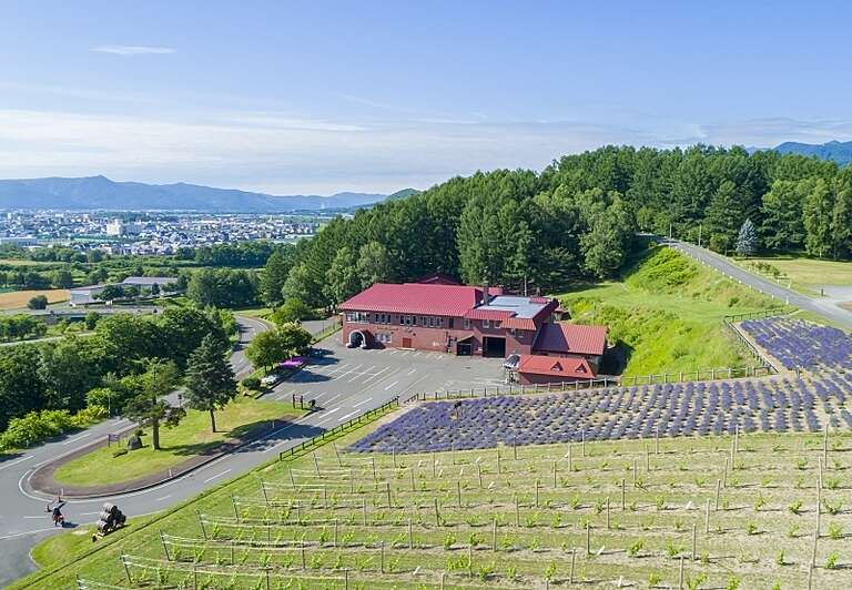 20 Of The Best Things To Do In Furano: Snow… | Uchi: Japan Real Estate