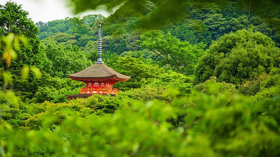 Kyoto Summer Life | Uchi: Japan Real Estate