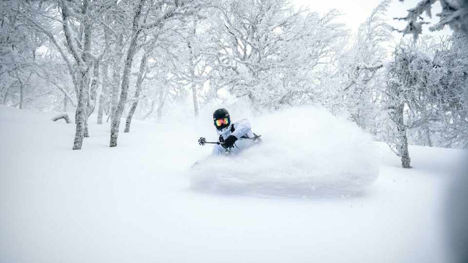 The Language of Snow: Discover Japan’s Snow… | Uchi: Japan Real Estate