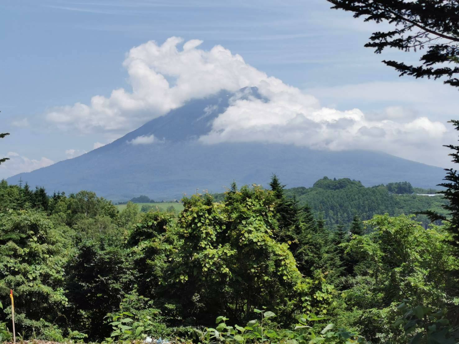 Tomikawa Stunning Yotei Views Site | Uchi: Japan Real Estate