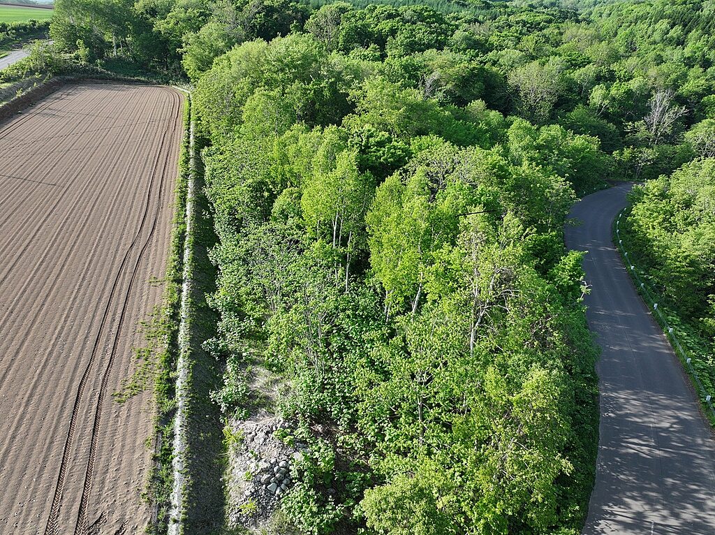 Yotei Farm Meadow Estate | Uchi: Japan Real Estate
