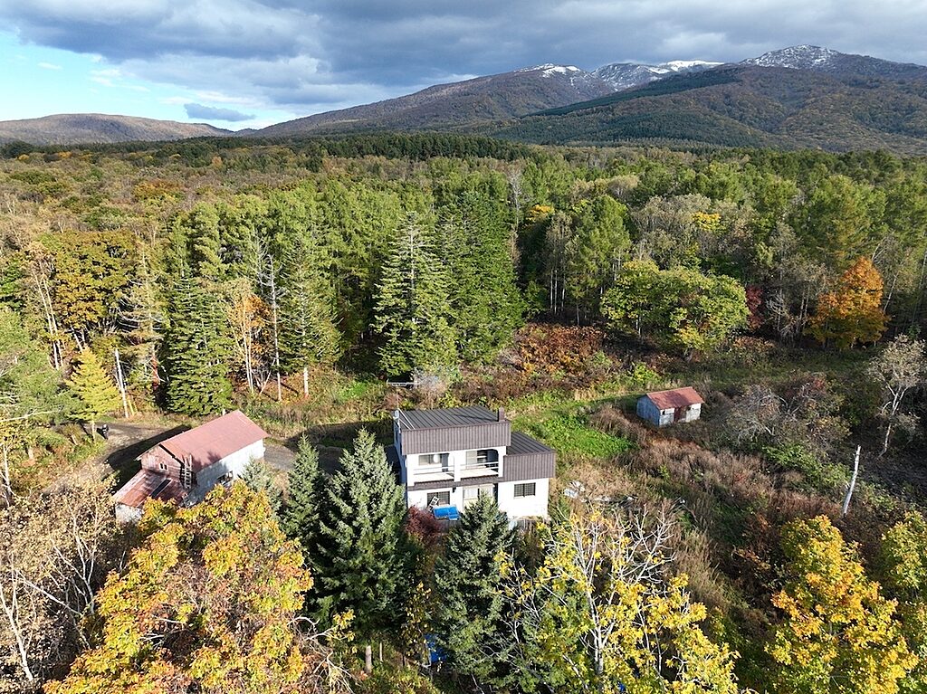 Hanabi in Japan: Origins, Symbolism, and… | Uchi: Japan Real Estate