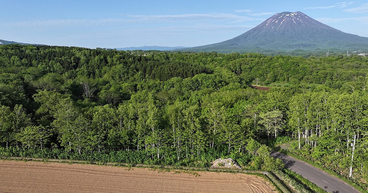 Yotei Farm Meadow Estate | Uchi: Japan Real Estate