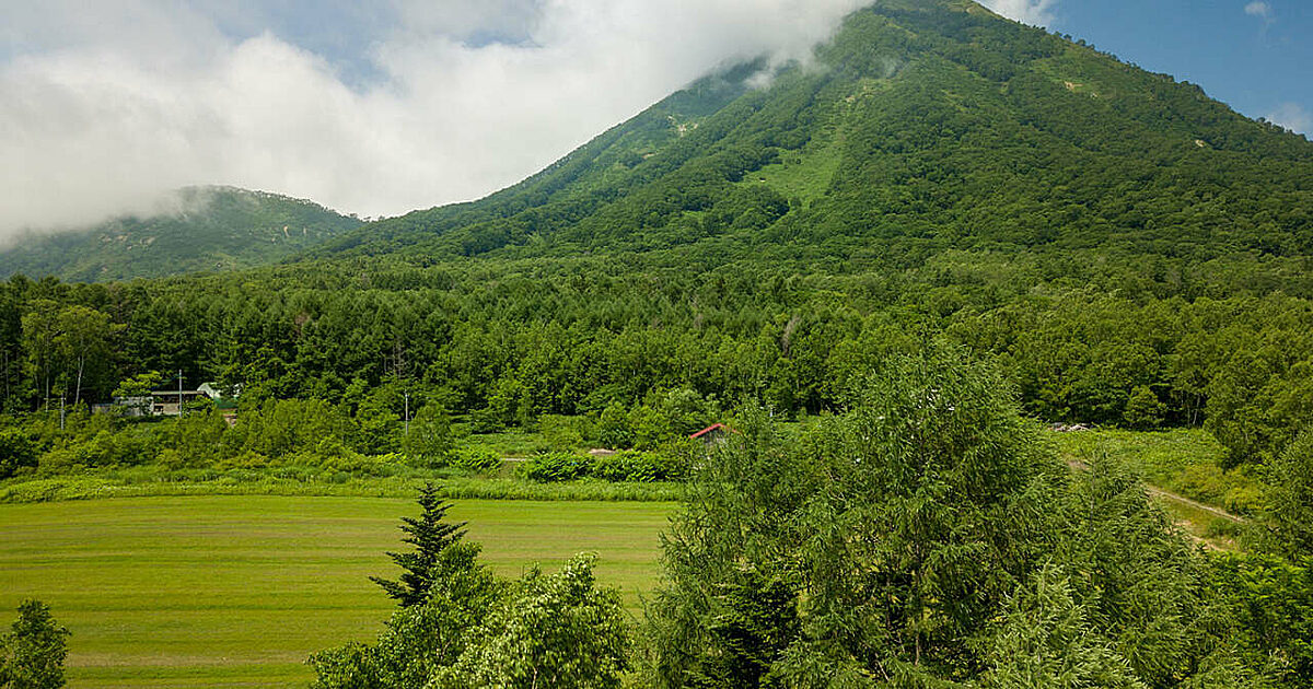 Rusutsu Commercial Land | Uchi: Japan Real Estate