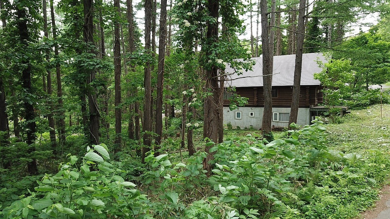 Yunosato Tranquil Land | Uchi: Japan Real Estate