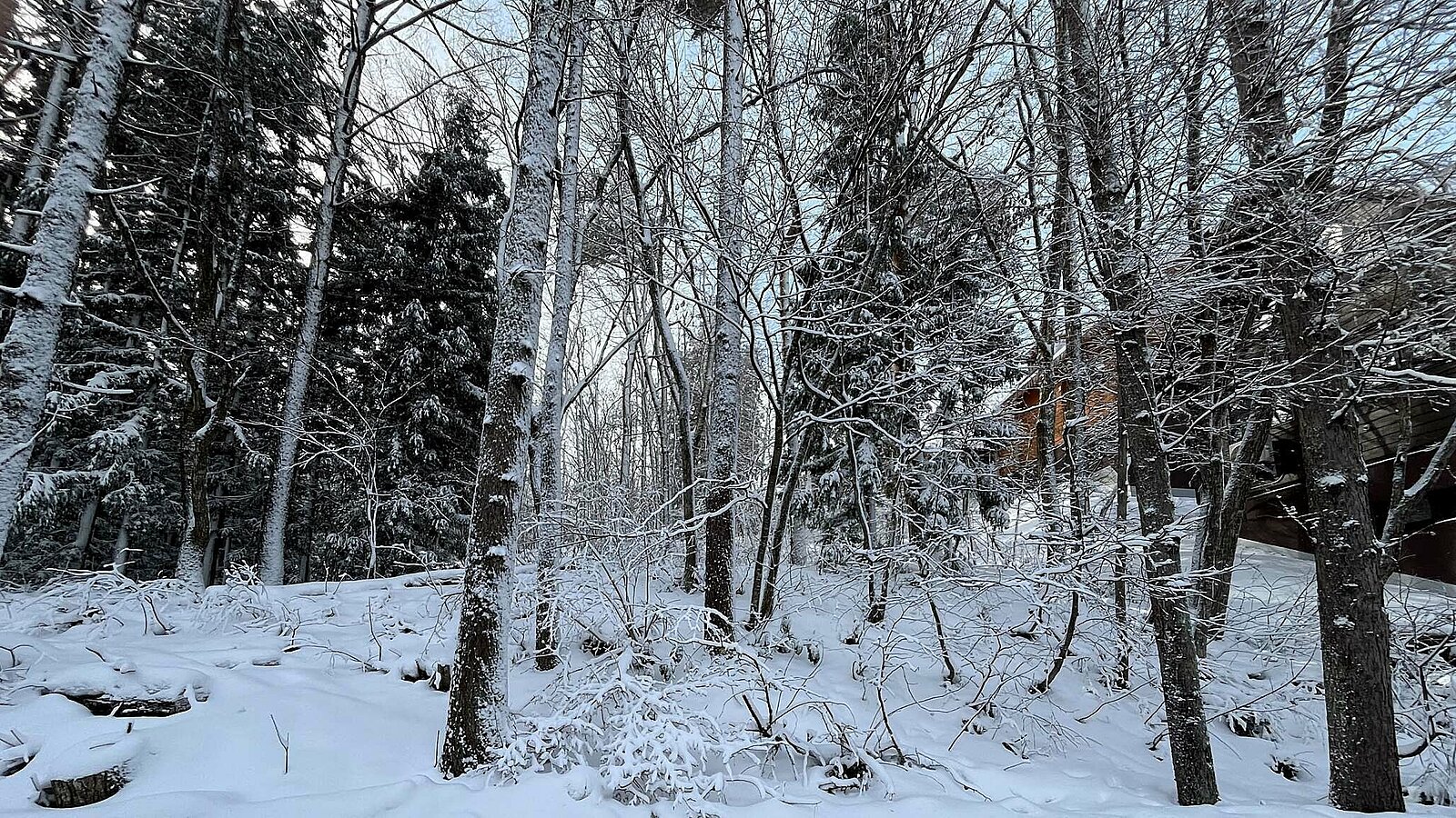 Hakuba Soma Land - Luxury Chalet Site in… | Uchi: Japan Real Estate