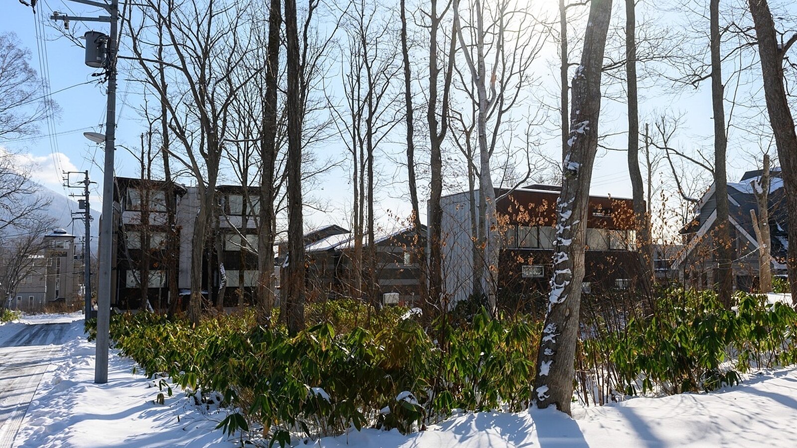 Hirafu Village 150 Tsubo Land | Uchi: Japan Real Estate