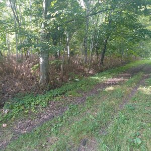 Yuno Sato Resort Land 120-14 | Uchi: Japan Real Estate