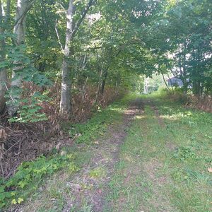 Yuno Sato Resort Land 120-14 | Uchi: Japan Real Estate