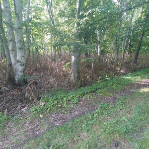 Yuno Sato Resort Land 120-14 | Uchi: Japan Real Estate
