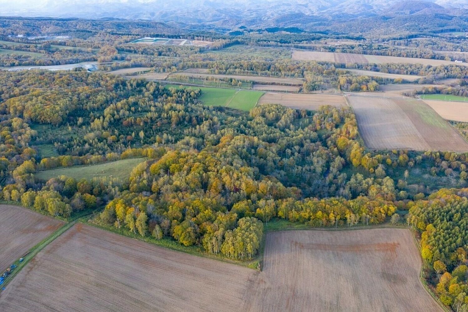 Niseko Hanazono Riverside Land | Uchi: Japan Real Estate