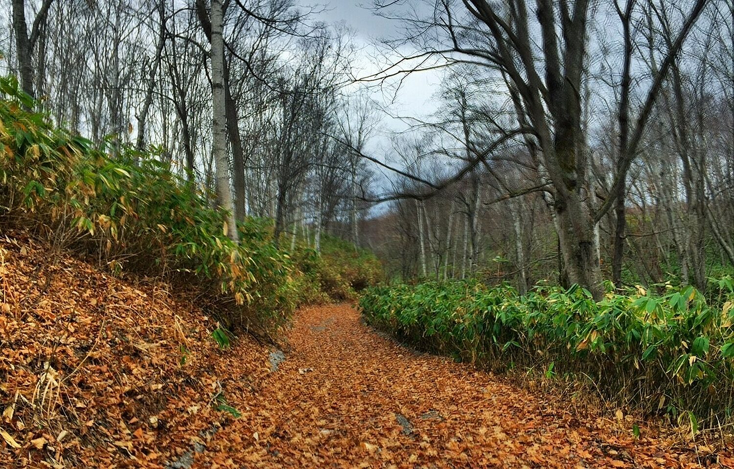 Niseko Hanazono Riverside Land | Uchi: Japan Real Estate