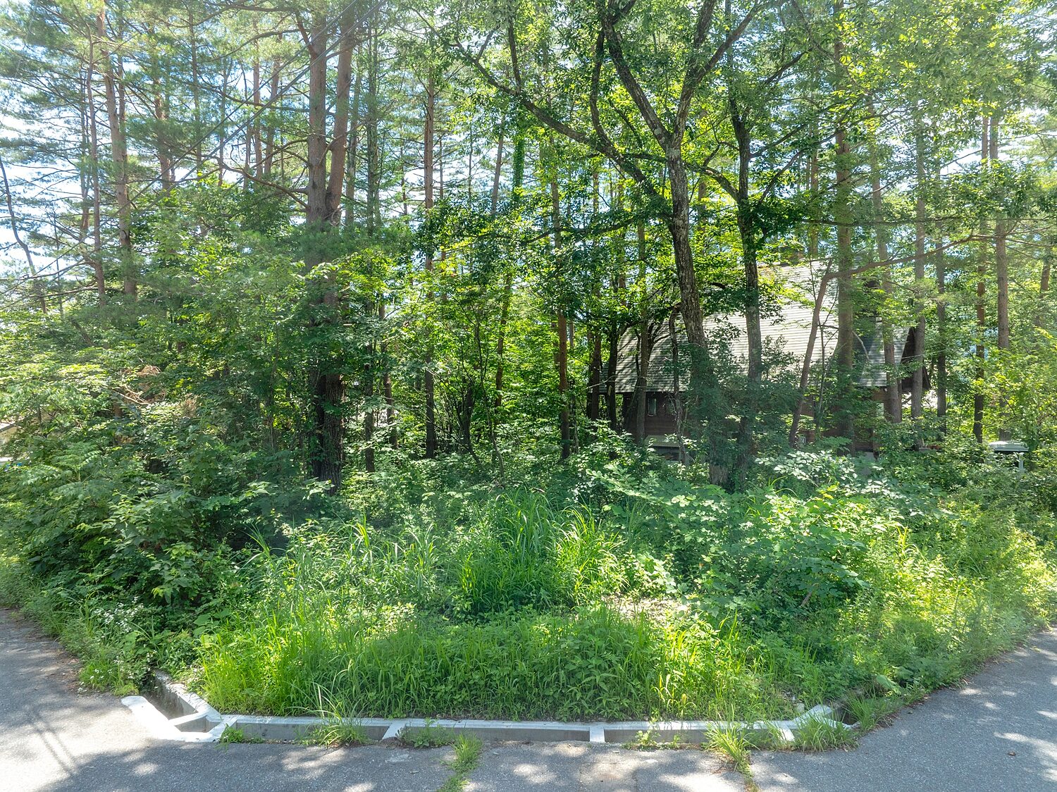 Meitetsu Corner Lot - Hakuba | Uchi: Japan Real Estate