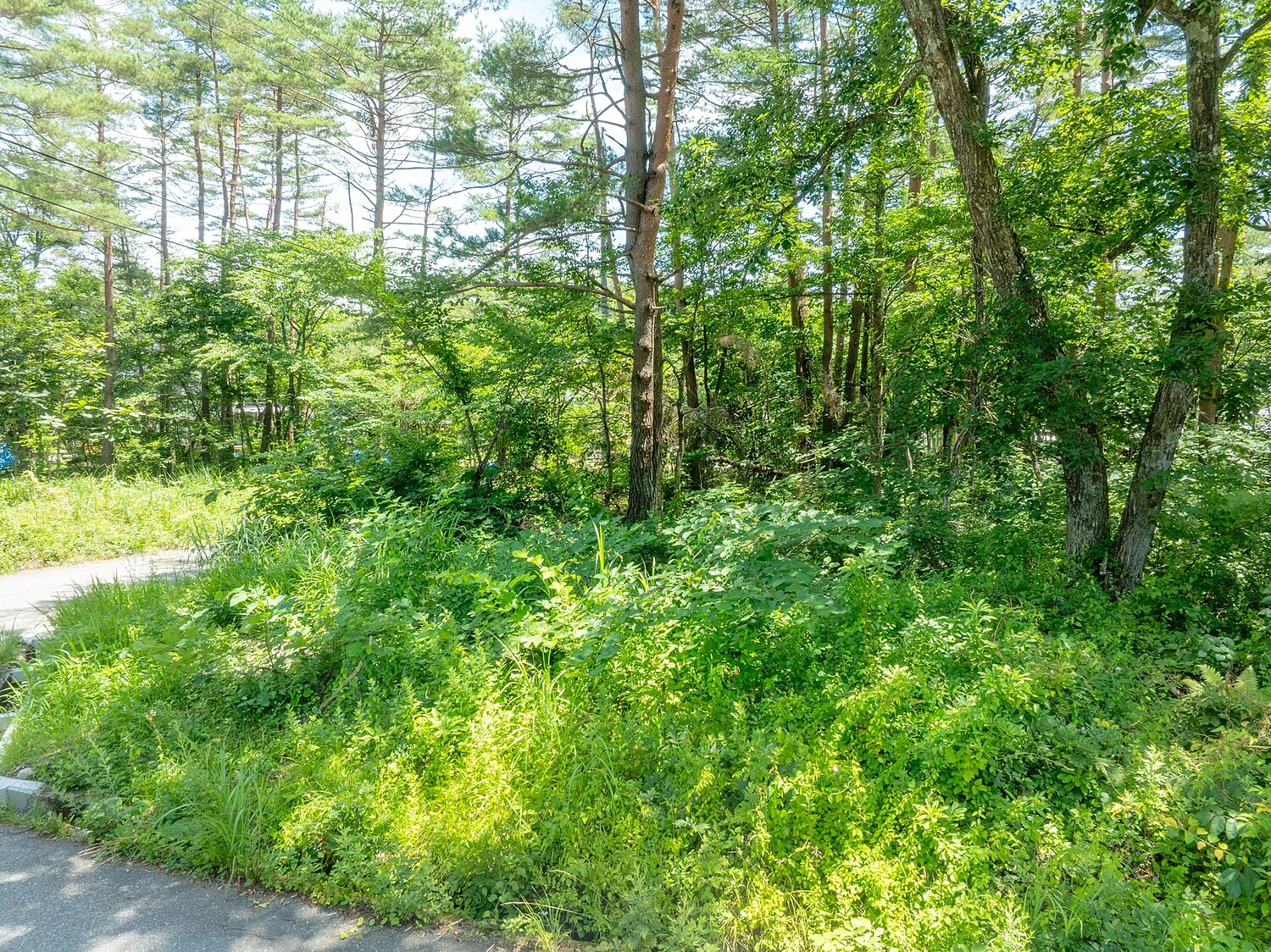 Meitetsu Corner Lot - Hakuba | Uchi: Japan Real Estate