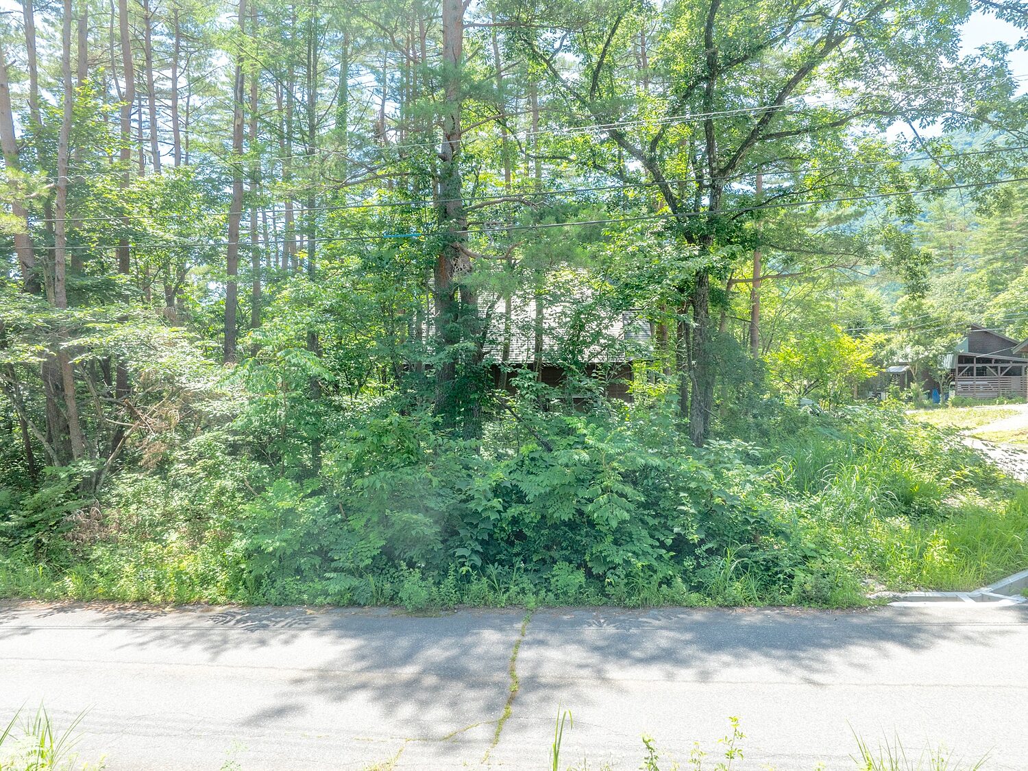 Meitetsu Corner Lot - Hakuba | Uchi: Japan Real Estate