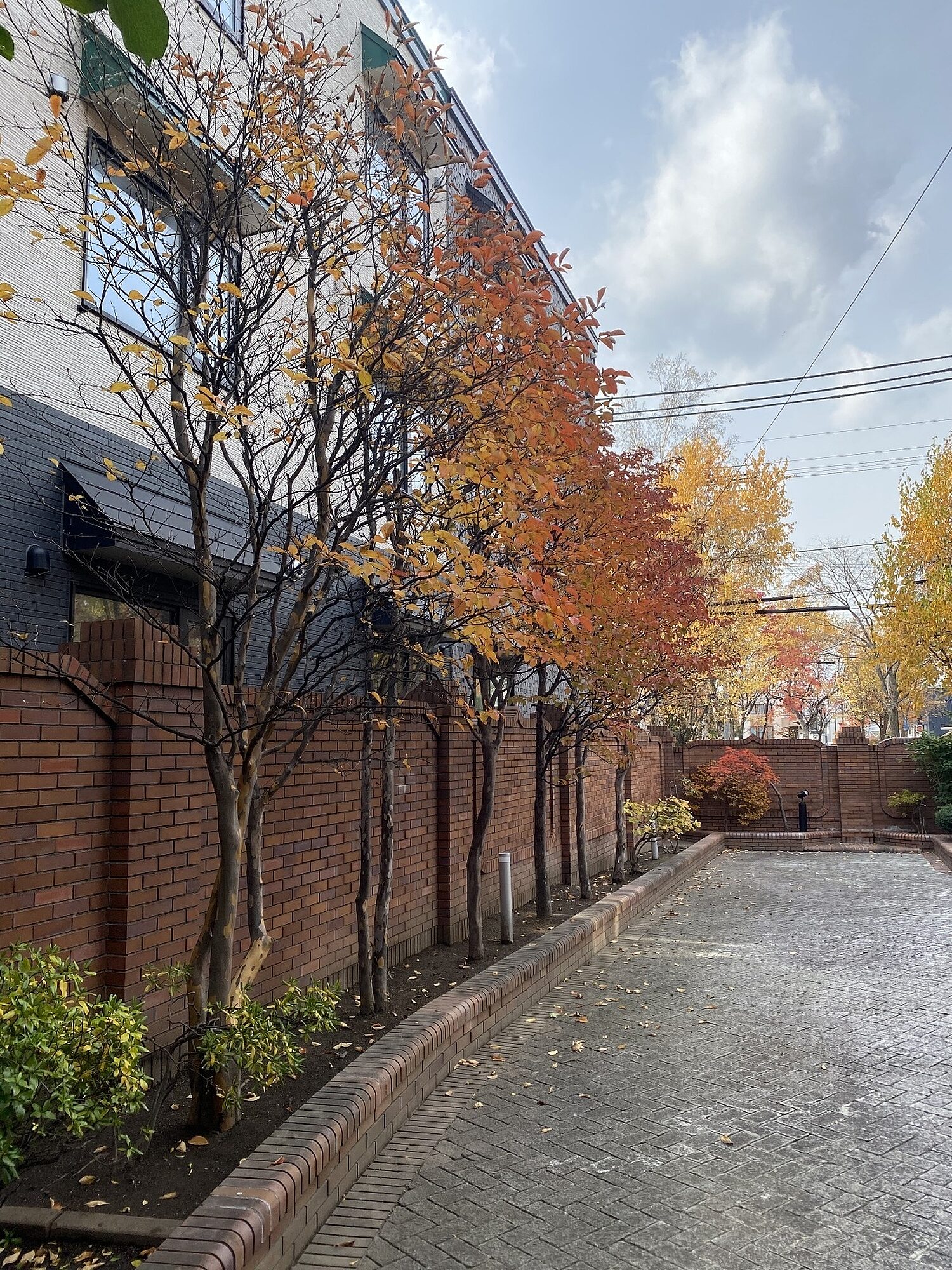 Sapporo Stately Residence | Uchi: Japan Real Estate