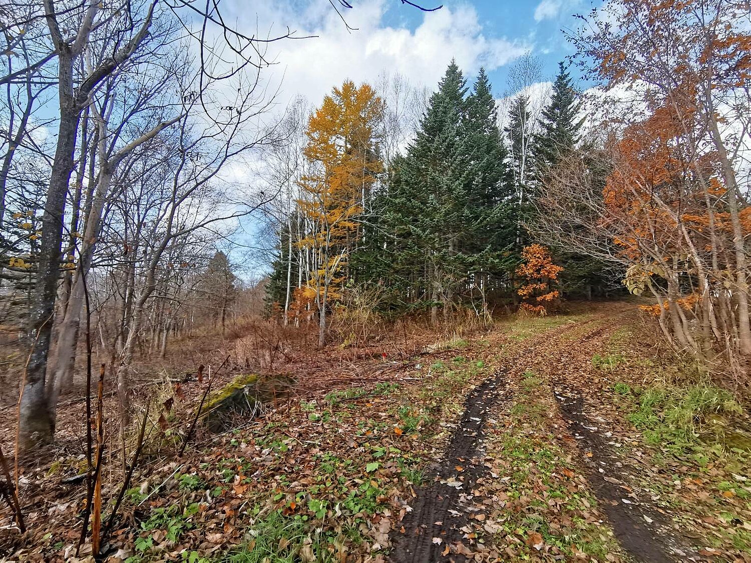 Huge Four Seasons Kondo Land | Uchi: Japan Real Estate