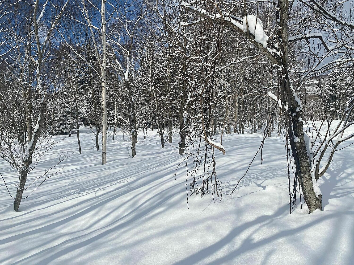 Ginto Village Land | Uchi: Japan Real Estate