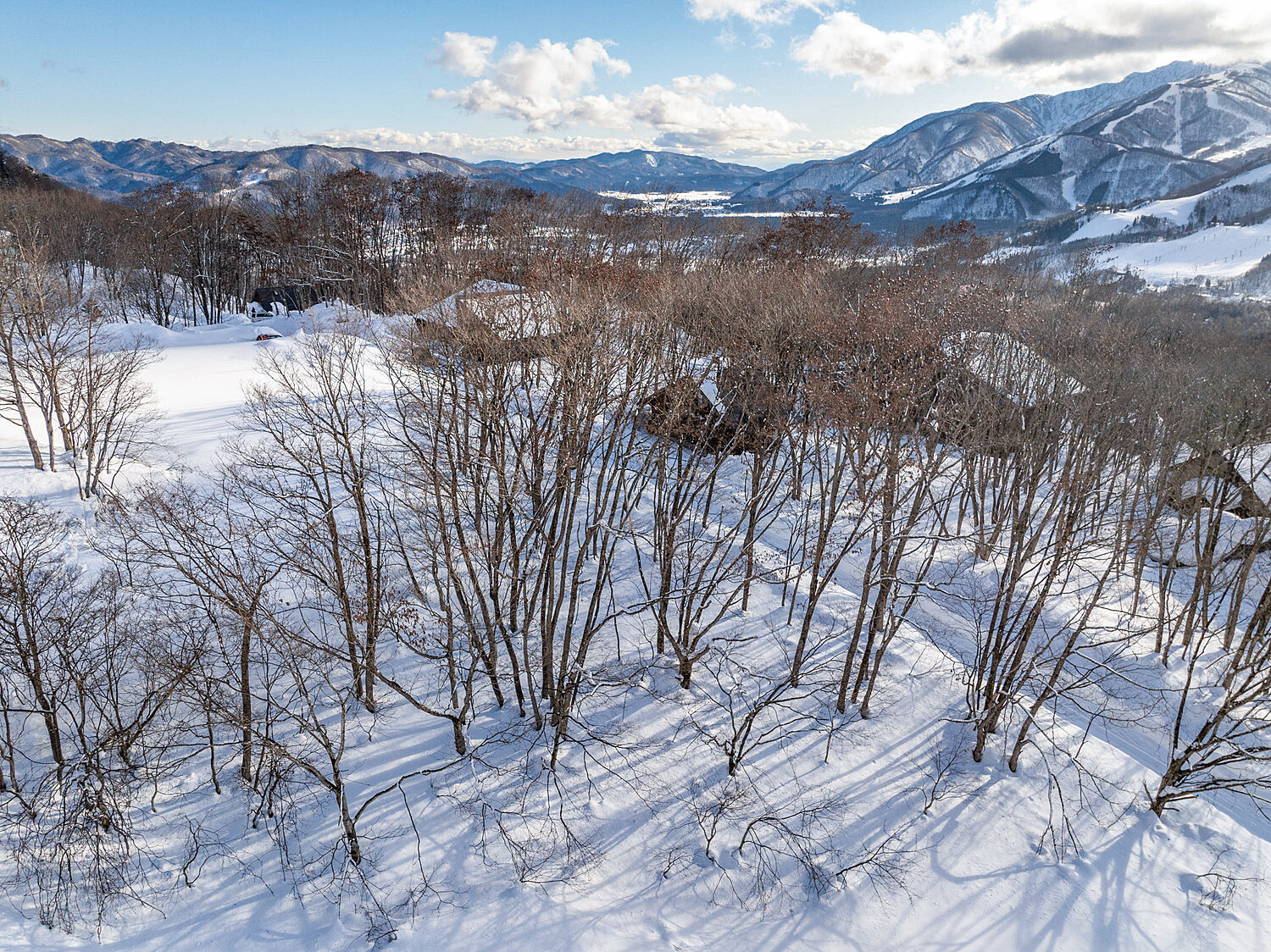 Hakuba Alpine View Land | Uchi: Japan Real Estate