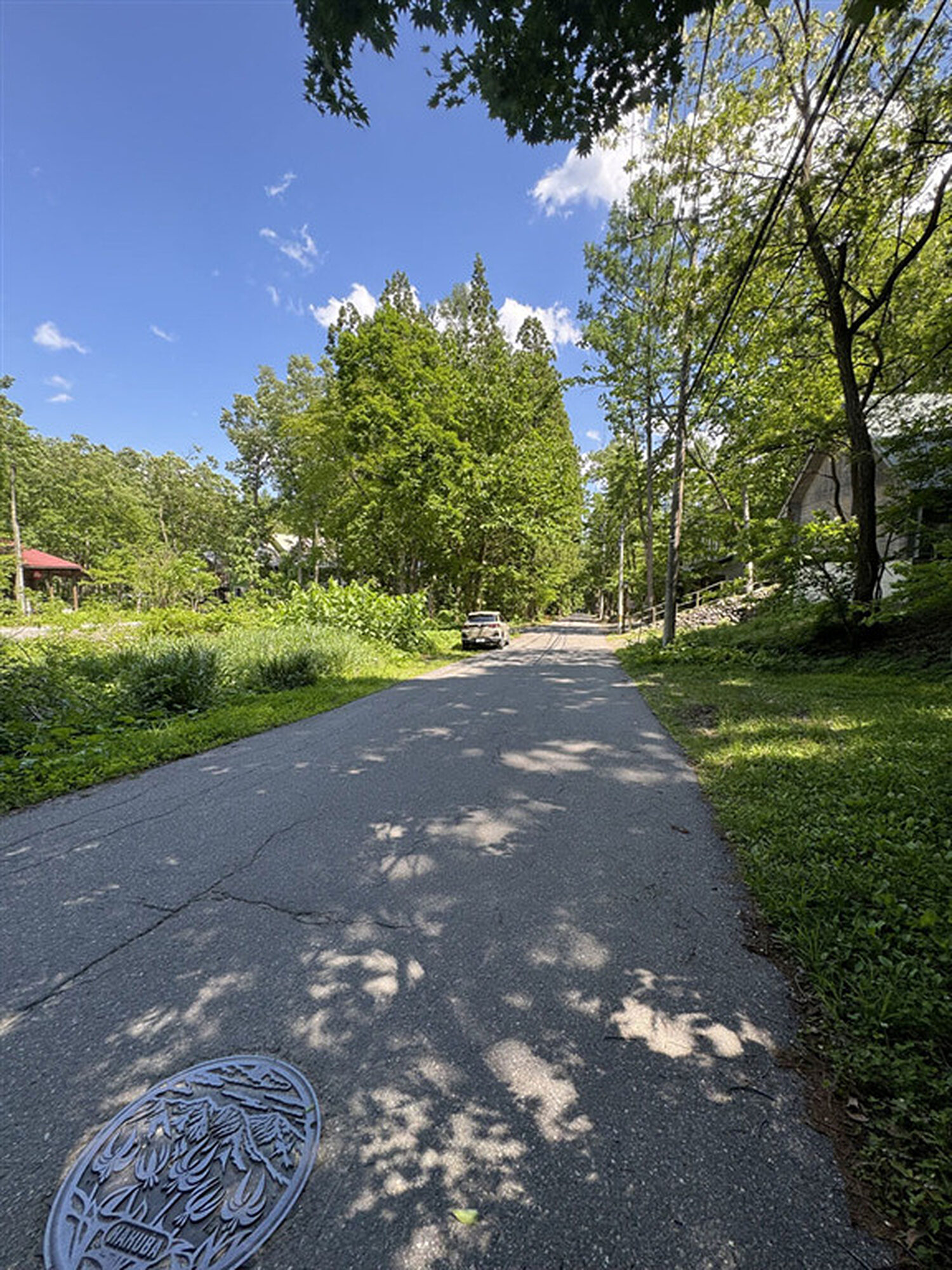 Large Central Hakuba Land | Uchi: Japan Real Estate