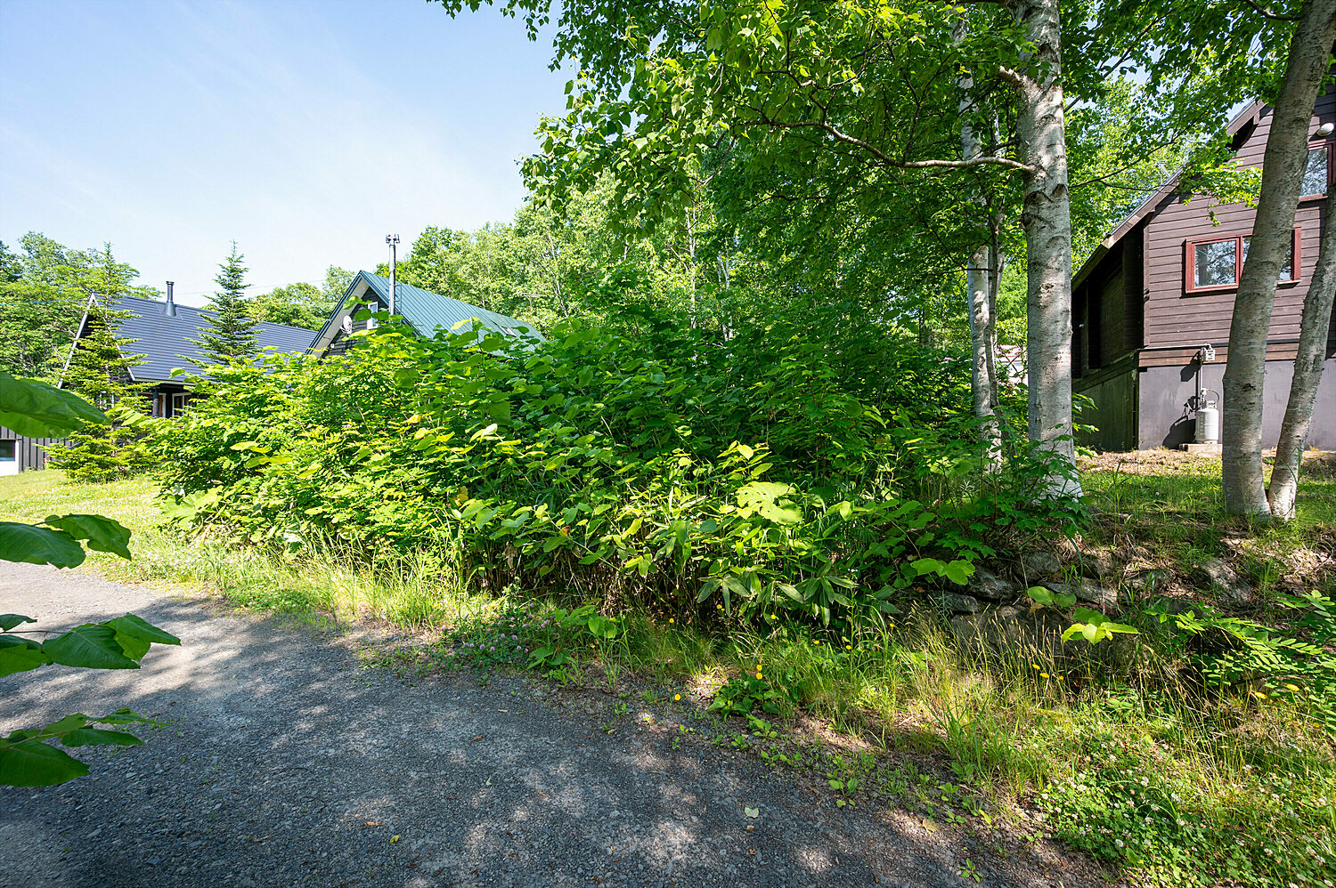 Niseko Village Residential Lot | Uchi: Japan Real Estate