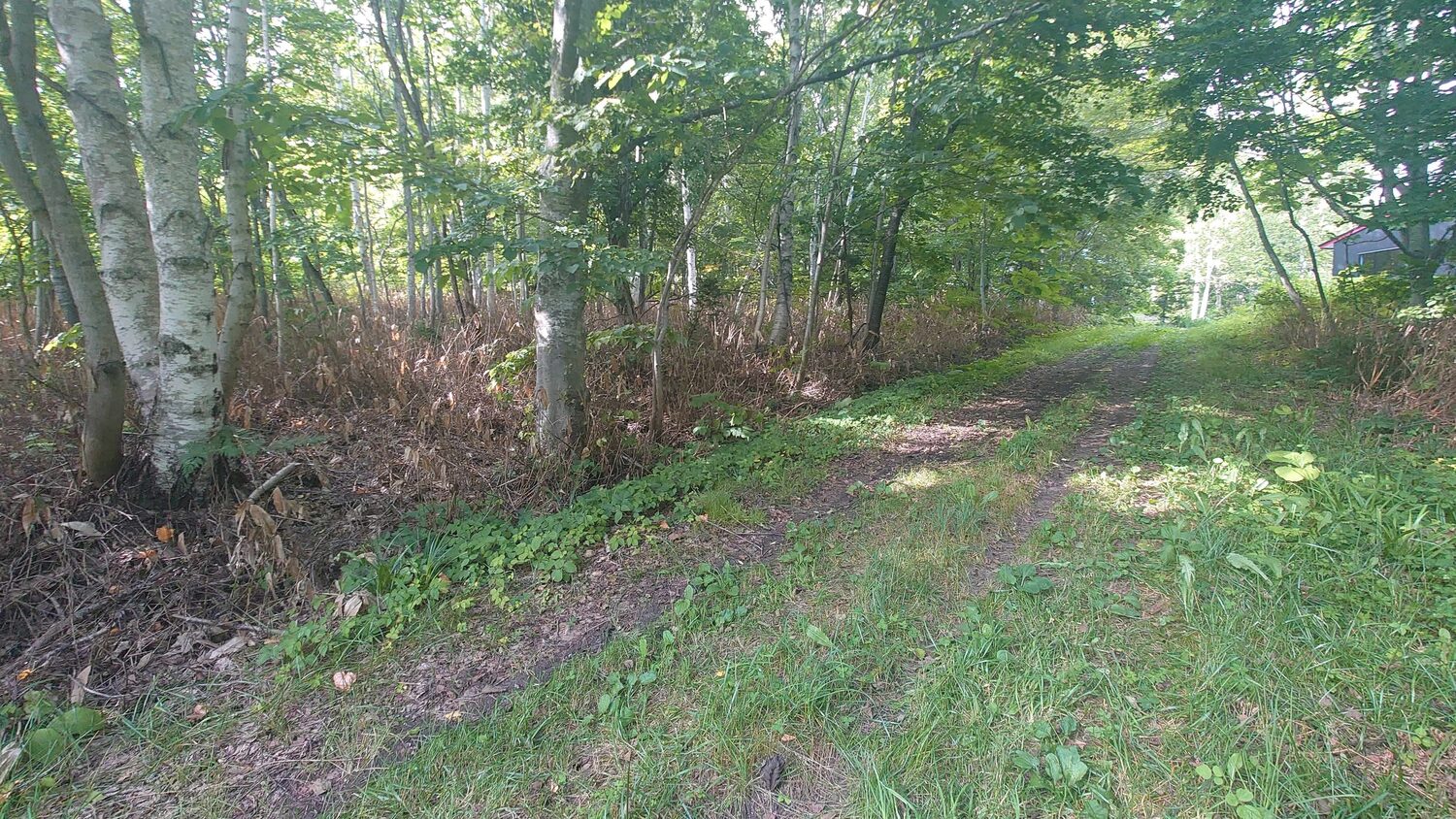 Yuno Sato Resort Land 120-14 | Uchi: Japan Real Estate