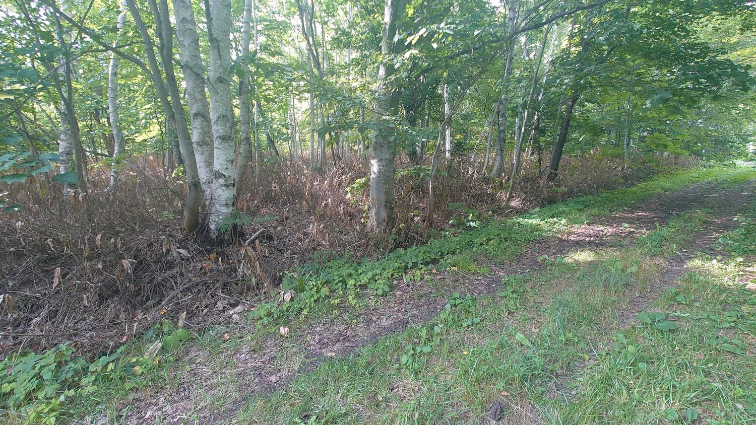 Yuno Sato Resort Land 120-14 | Uchi: Japan Real Estate
